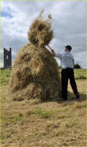 Home - Trim Haymaking Festival